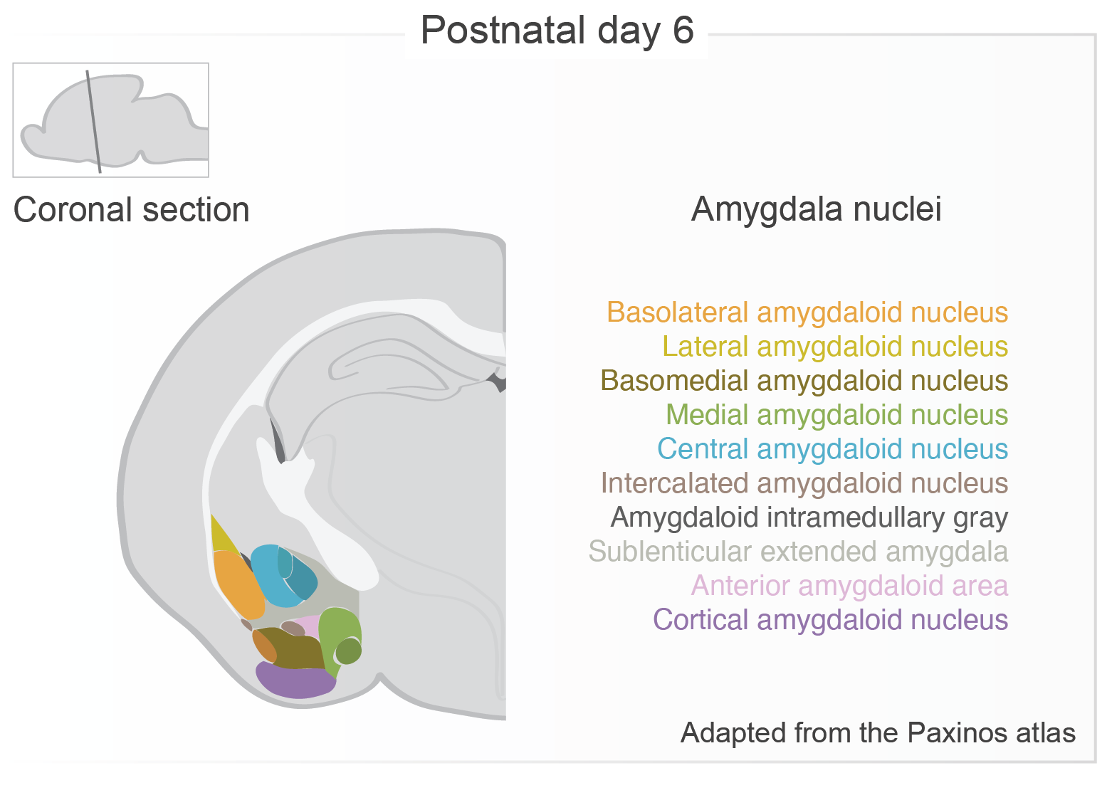 Research - Klingler Lab